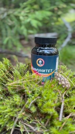 Вирусы грибки и микробы