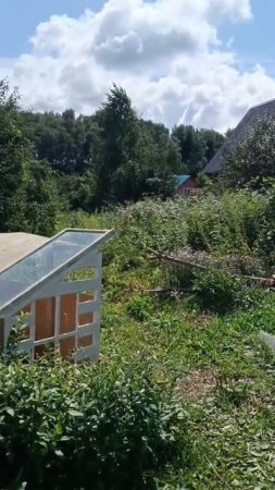 г. Кемерово, СНТ "Искитимское", участок № 91 цена 350 000 руб