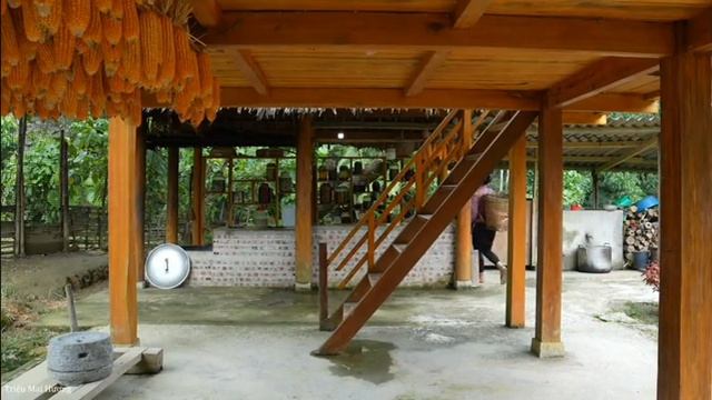 Living Alone and Gardening in the mountains: Harvesting Fruit Going market to sell | Trieu Mai Huong