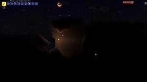 Terrari a#1