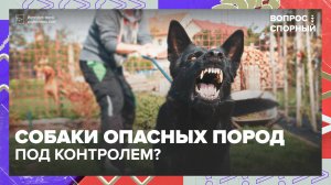 Лицензия для владельцев собак опасных пород|Вопрос спорный — Москва 24|Контент