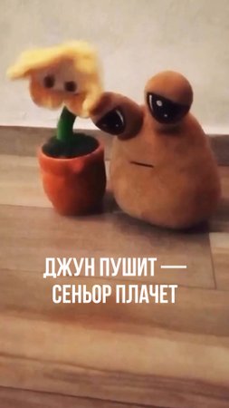 Джун пушит — сеньор плачет