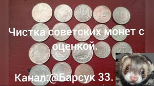 Чистка советских монет с оценкой стоимости.