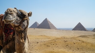 ЕГИПЕТ ШАРМ-ЭЛЬ-ШЕЙХ & КАИР 🇪🇬 Тизер 2025г