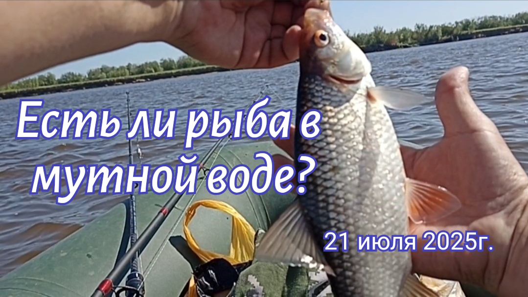 Есть ли рыба в мутной воде?