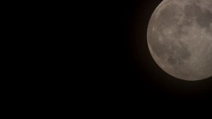 ФУТАЖ Moon (28)