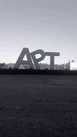 ДадлиФеникс арт