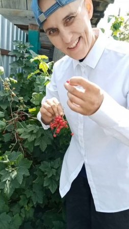 мой урожай в середине июля