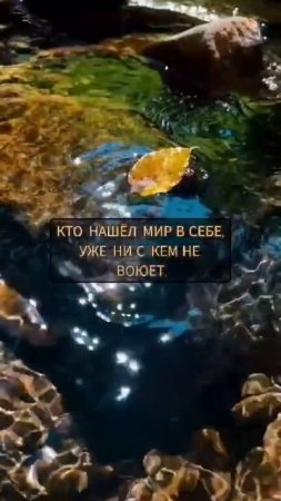найти мир в себе