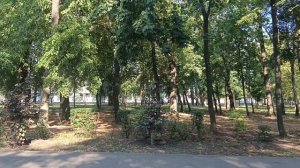 УТРО ! РОСТОВ НА ДОНУ !  С ДОБРЫМ УТРОМ !  НОВОСТИ МЕСТНЫЕ И ВООБЩЕ!
