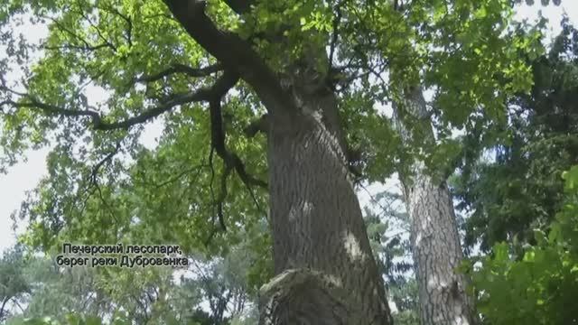 Встречи с прошлым, часть 3-я. Прокопьевский источник в Печерске. Об источнике в Старом Пашково