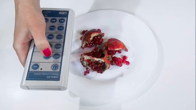 Реальное изображение через камеру системы ЭМАЛЕД-Видео