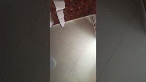 Блич бокс