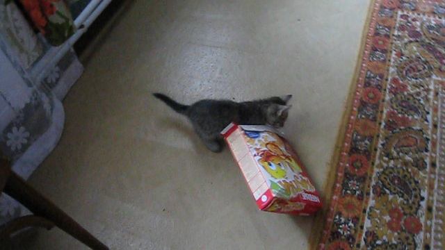 Бусинка. )