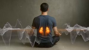 492,8 Hz Adrenal Glands Frequency - Nervous System Reset Stress Relief Tuning Fork Healing