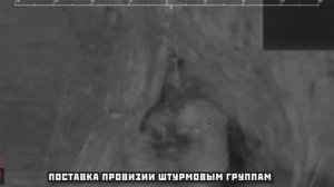 Точный удар дрона прекращает украинский рейд за считанные секунды.