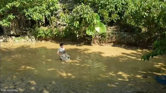 "Harvesting a lot of Fish raised on the farm - Bringing it to the market to sell | Trieu Mai Huong".