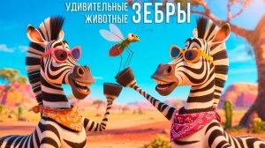 ЗЕБРА - удивительное животное!