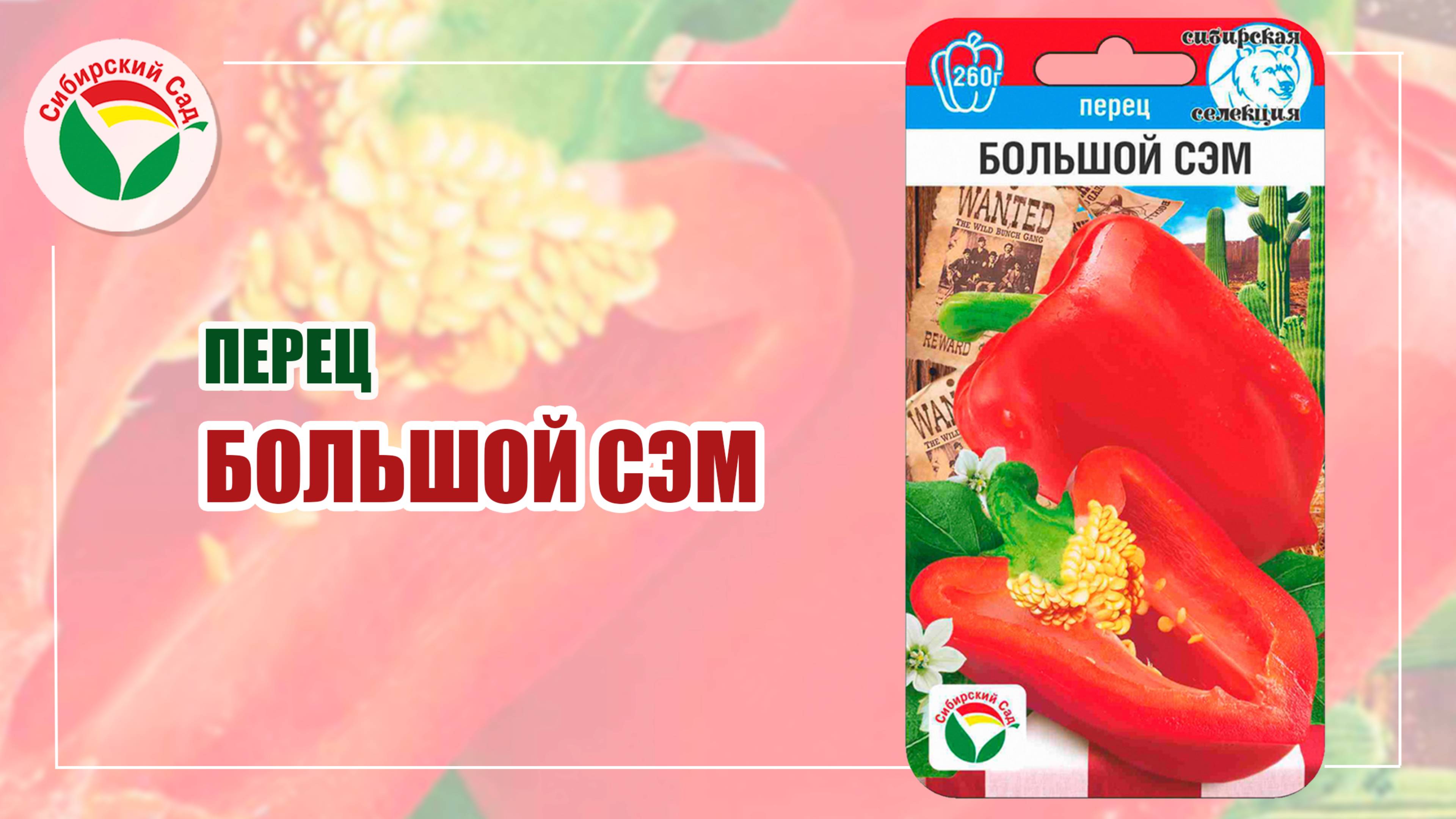 Перец Большой Сэм