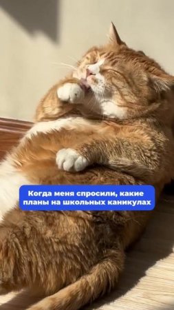 Планы на лето? Лежать на диване, слушать любимую музыку, читать, есть вкусняшки… И забыть про все