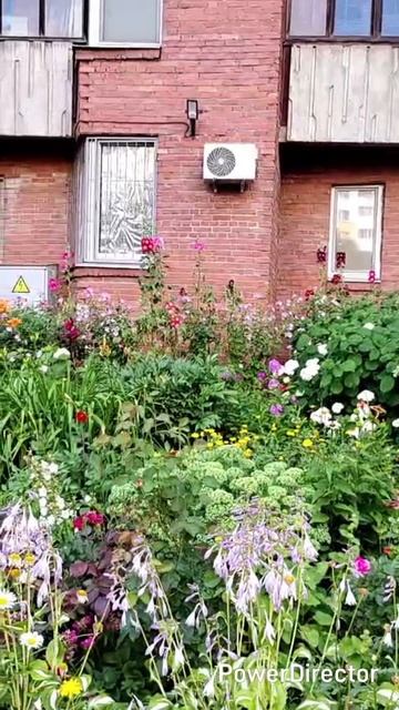 Уютный Питерский дворик.