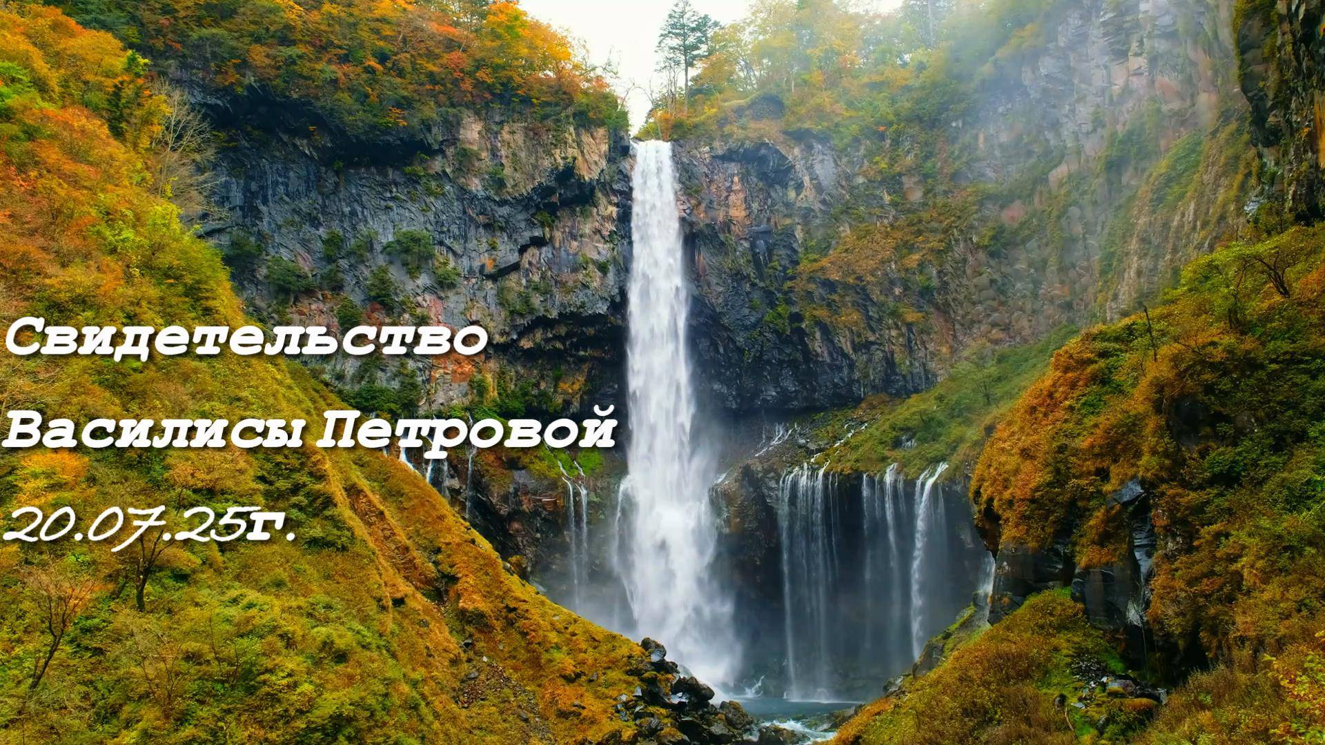 Свидетельство Василисы Петровой 20.07.25г.