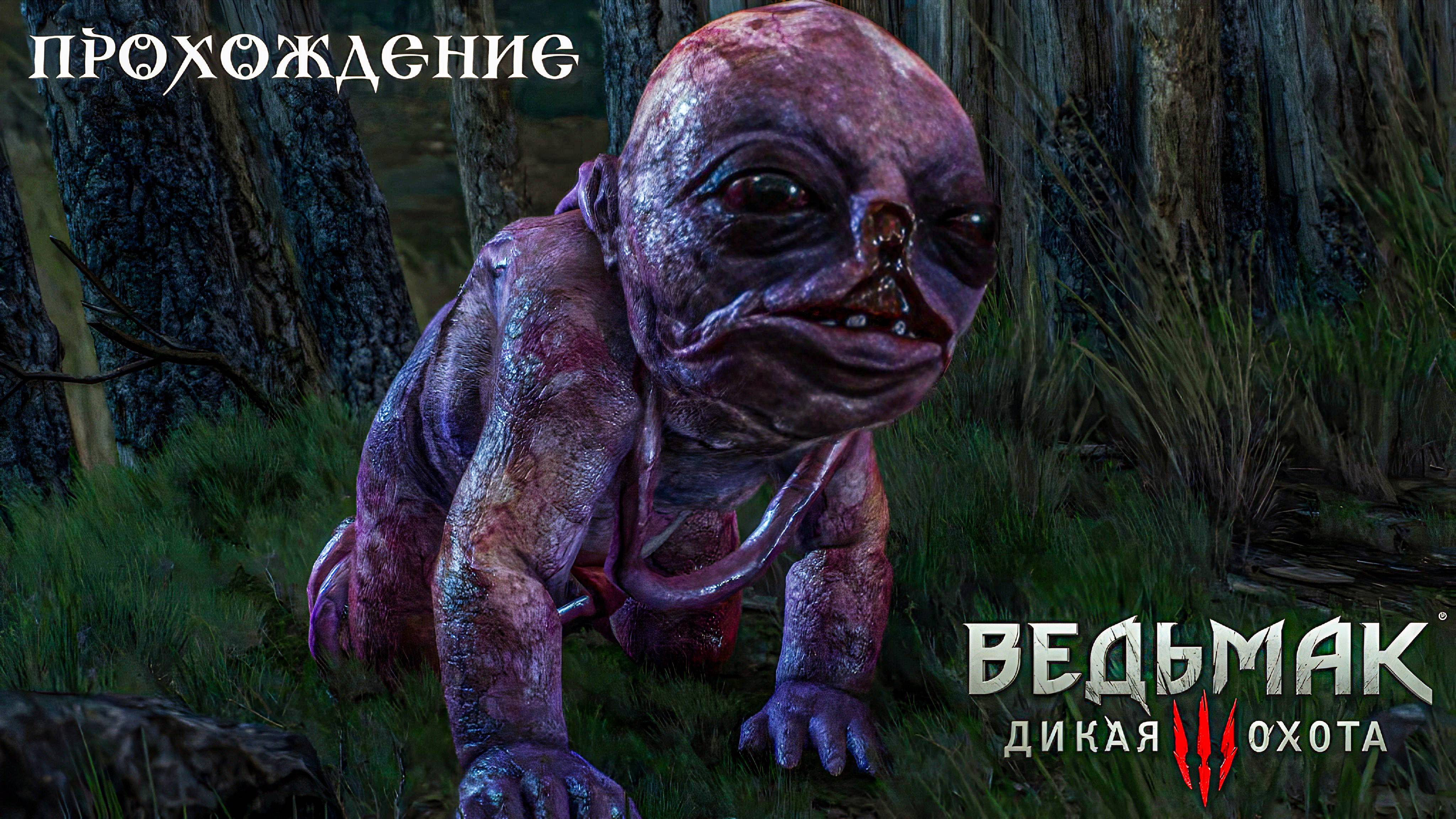 ИЗБАВЛЯЕМСЯ ОТ ИГОШИ! ПРОДВИЖЕНИЕ В ПОИСКАХ! (Ведьмак 3: Дикая Охота №11). Тихое прохождение.