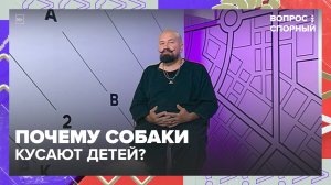 Кто виноват в плохом воспитании собаки?|Вопрос спорный — Москва 24|Контент