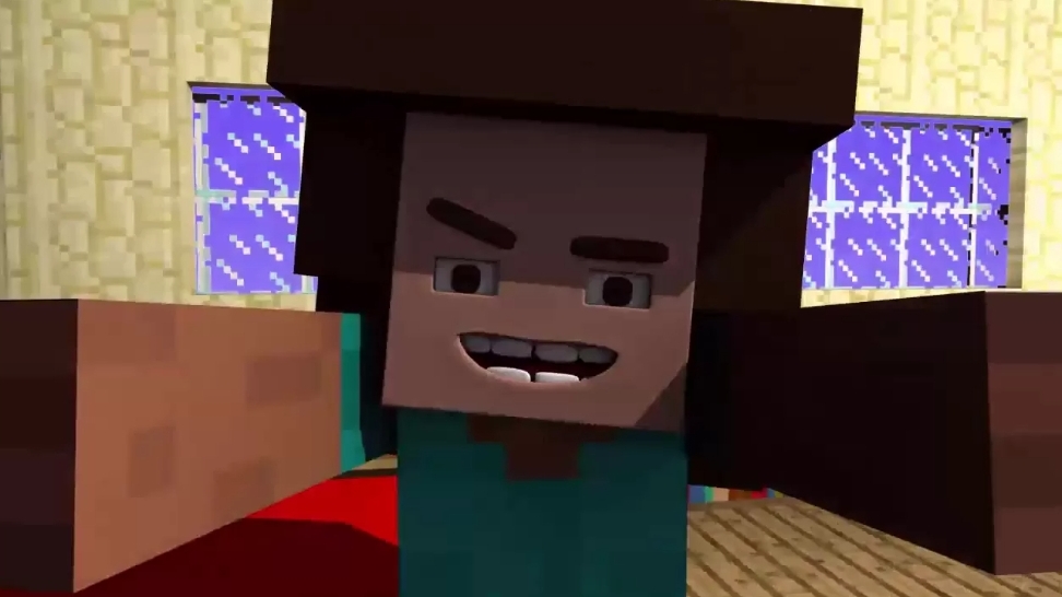 STEVE TAKES A PICTURE OF HIMSELF EVERYDAY FOR 5 YEARS A MINECRAFT ANIMATIONS