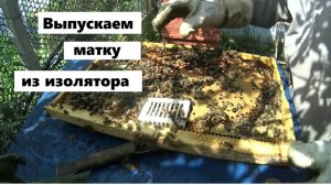 Система с изоляцией буксует.Замена матки.