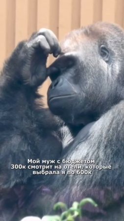 Надёжное Турагентство A2 travel
a2-travel.ru
