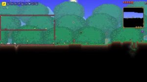 Terrari a#2