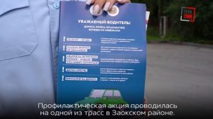 Лоси и косули чаще других зверей попадают под колеса в Тульской области