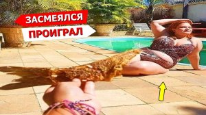 КРУТЫЕ ПРИКОЛЫ 2025 \ НОВЫЕ ПРИКОЛЫ \ СМЕШНЫЕ ПРИКОЛЫ 2025