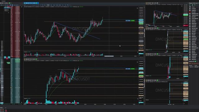38-Dmcusdt-Long-Stoploss-24-06-2025-18-33-01