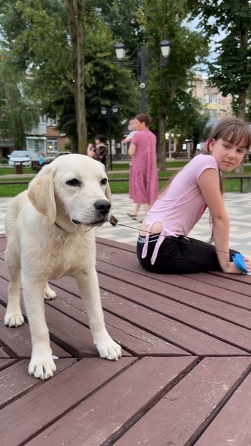 Аллилуйя