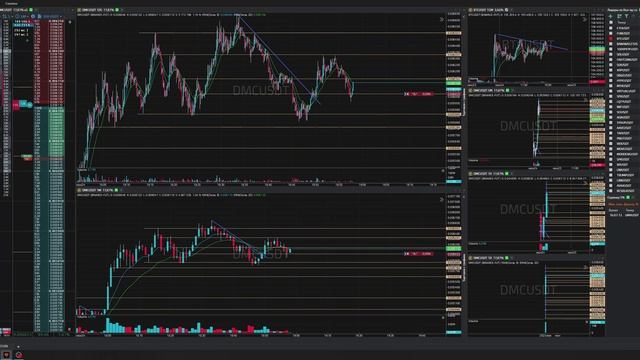45-Dmcusdt-Long-Profit-24-06-2025-18-57-51
