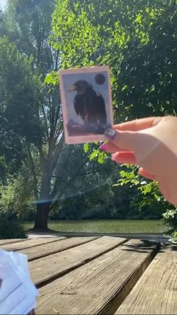 Сегодня, завтра, послезавтра #гадание #таро #tarot #гадалка
