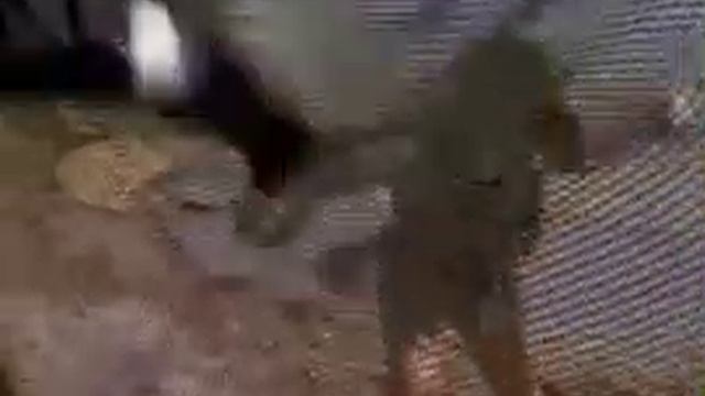 Бумагу, сударь, бумагу!