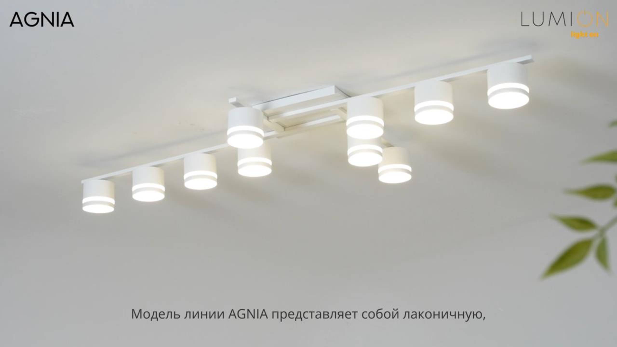 LUMION AGNIA 8303