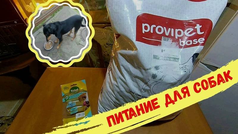 Сухой корм для собак PROVIPEN.