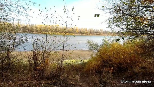 Река Урал в плачевном состоянии.