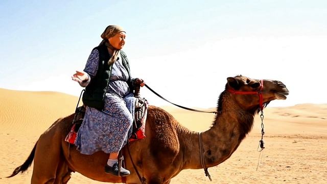 Бабушки ИИ рекомендуют 5секунд+