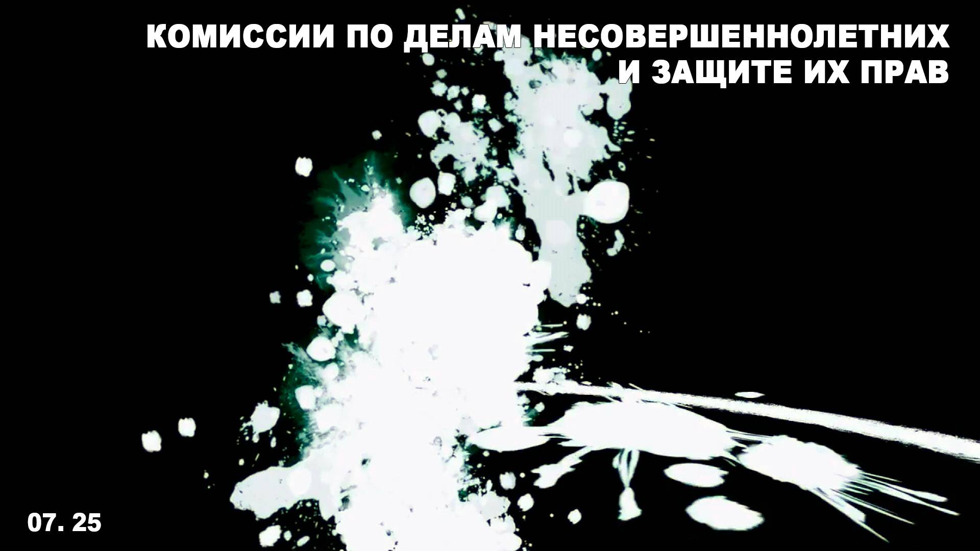 Комиссии по делам несовершеннолетних и защите их прав