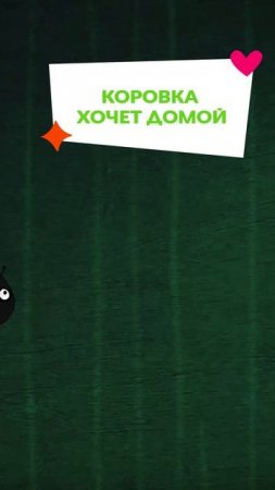 😨 Божья коровка врезалась в стекло