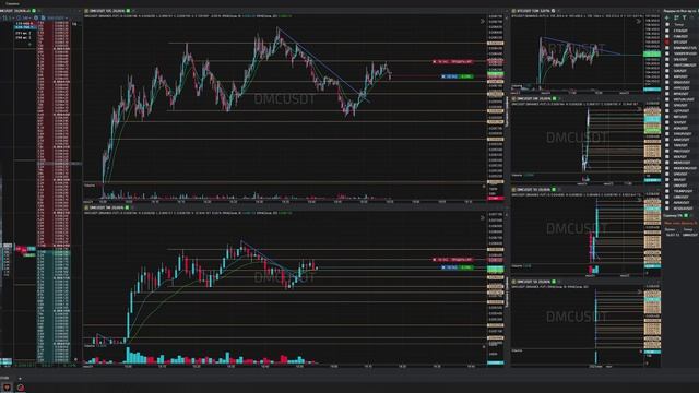 44-Dmcusdt-Long-Profit-24-06-2025-18-55-02