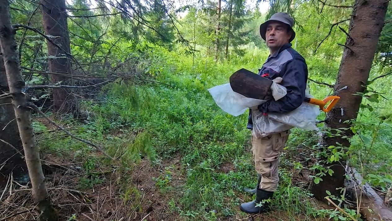 В поисках елового опада. Собираю урожай овощей. Получила водительское удо-е. Новые цветы в сад.