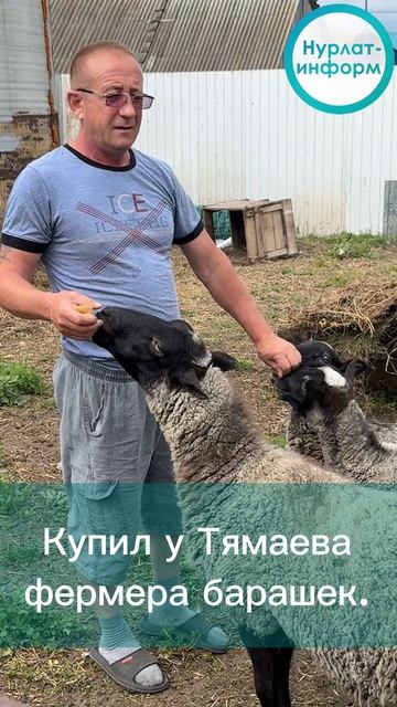 От поля боя к фермерству: как Фонд «Защитники Отечества» помогает ветеранам адаптироваться