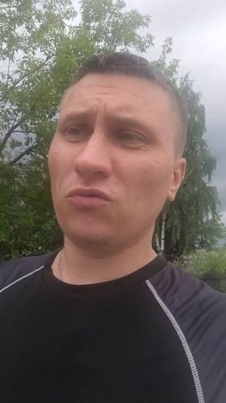 Учёт домашних питомцев планируют ввести в России — распоряжение правительства РФ