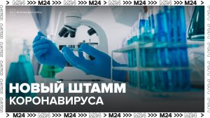 В России зафиксировано 114 случаев заражения новым штаммом коронавируса "Стратус" - Москва 24